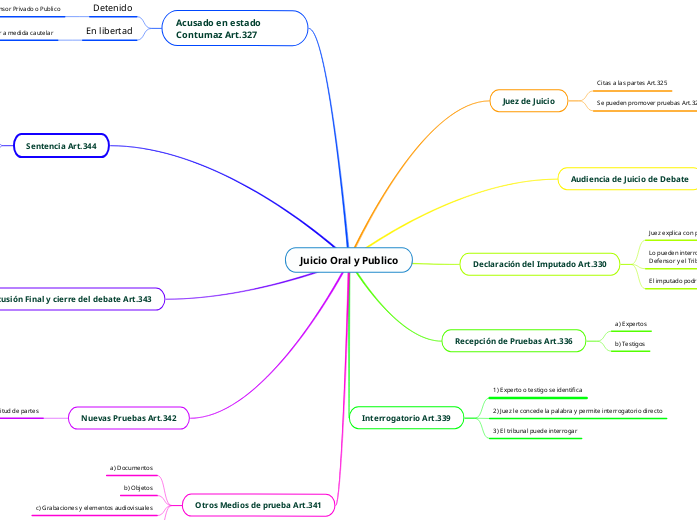 Juicio Oral y Publico - Mind Map